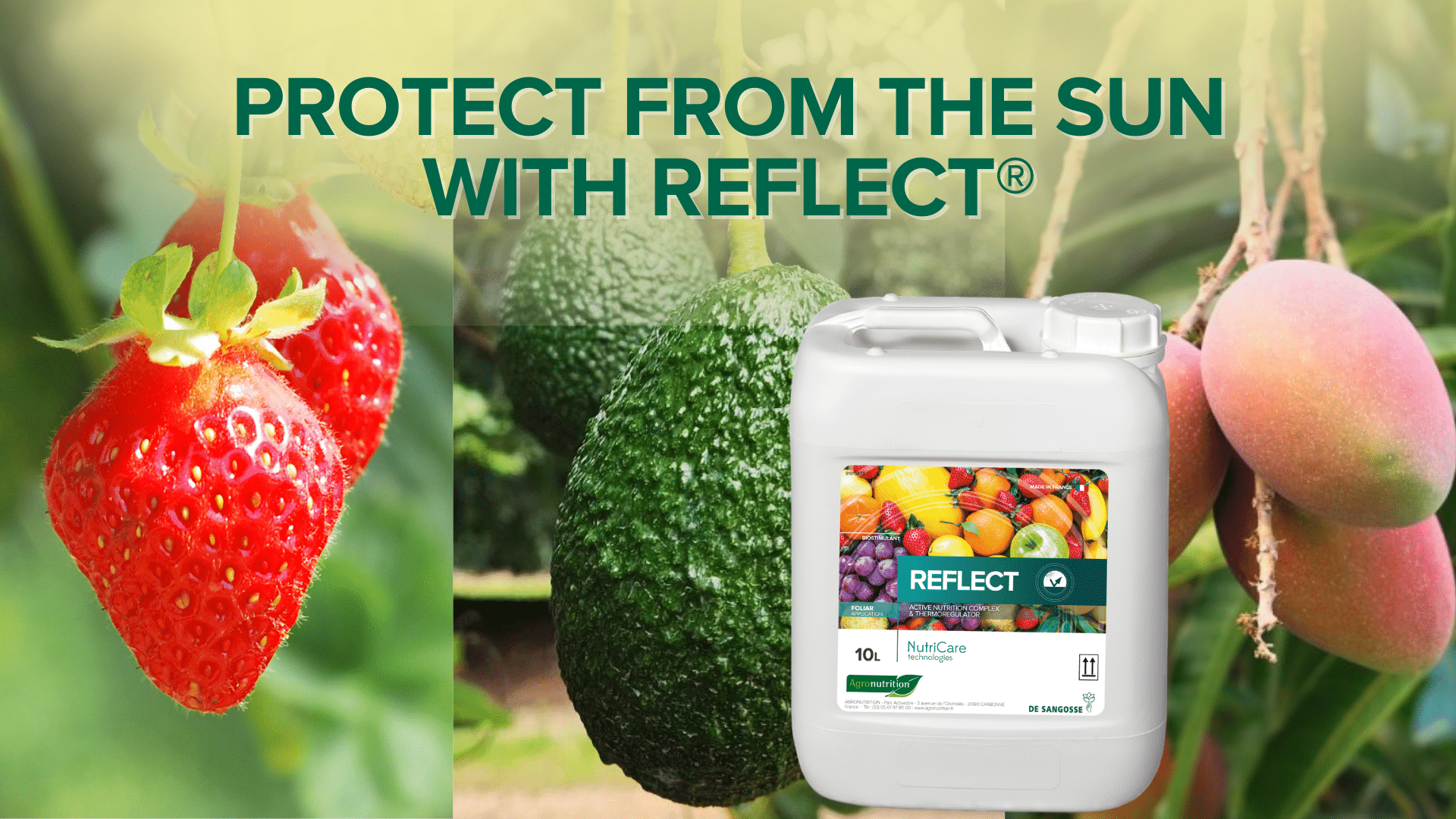 Sunburn protect w Reflect -Reflect Website (1920 × 1080 px) (1) | DE ...